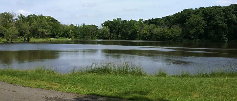 Hiking with My Dog at Lemon Lake County Park | NW Indiana Parks
