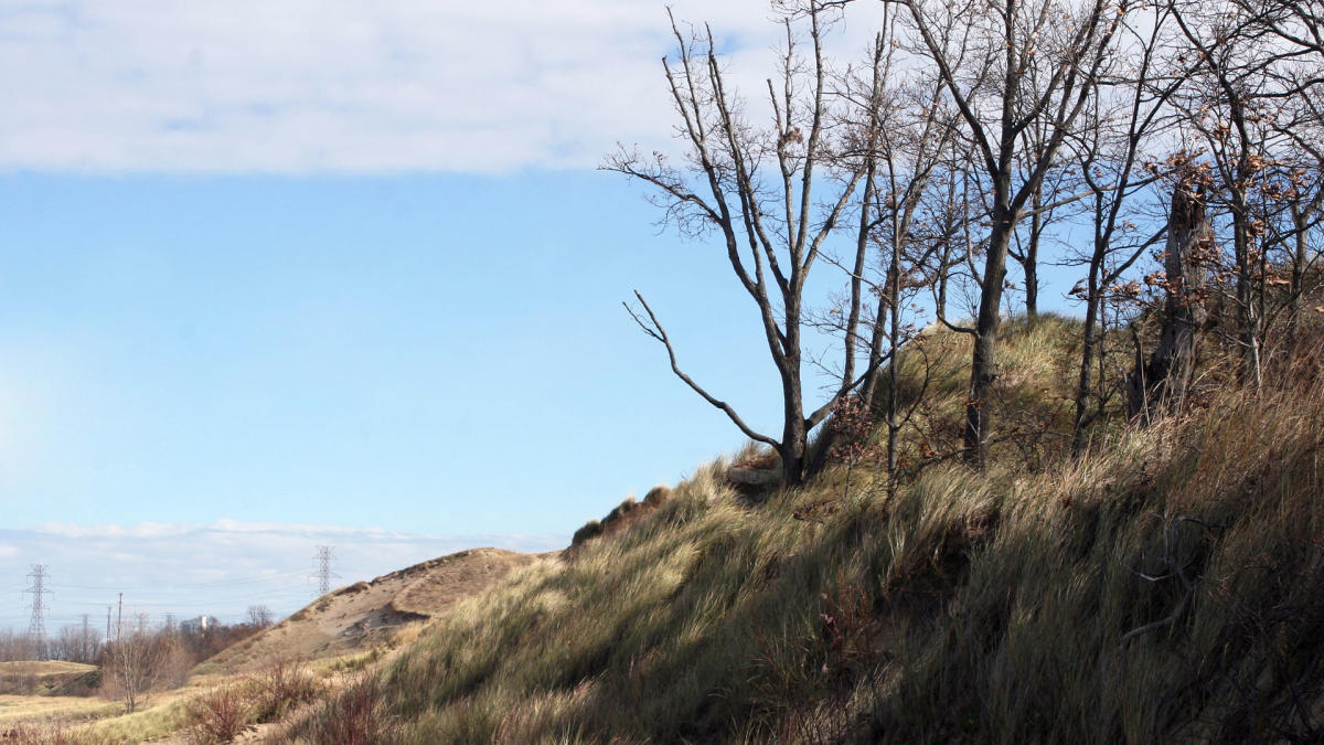 South Shore Indiana | Mount Baldy Trails @ Indiana Dunes National Park