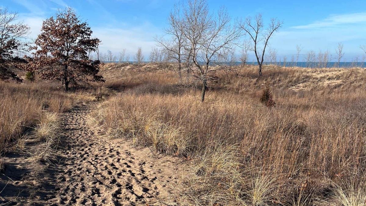 South Shore Indiana | Paul H. Douglas Trail @ Indiana Dunes National Park