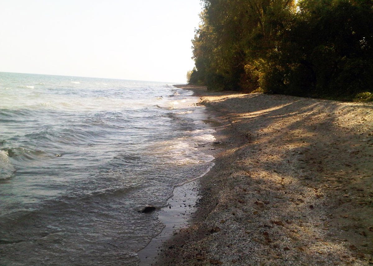 Ontario's Southwest | Fish point beach