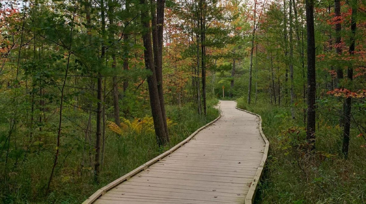 Stevens Point Trail Maps | Biking, Hiking, & Wildlife