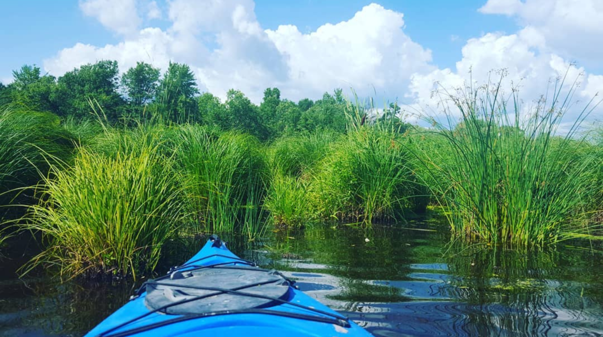 Stevens Point Area | Blog | Paddle Guide: Lower Plover River