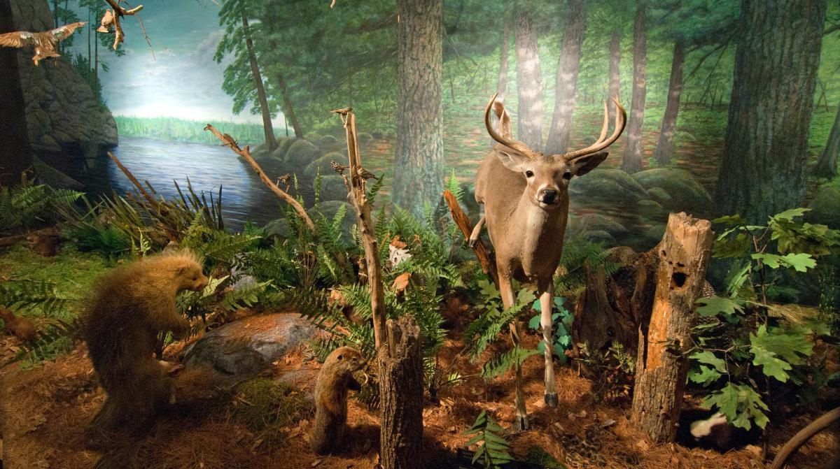 Stevens Point Area | Blog | Take Five: Best Indoor Winter Activities