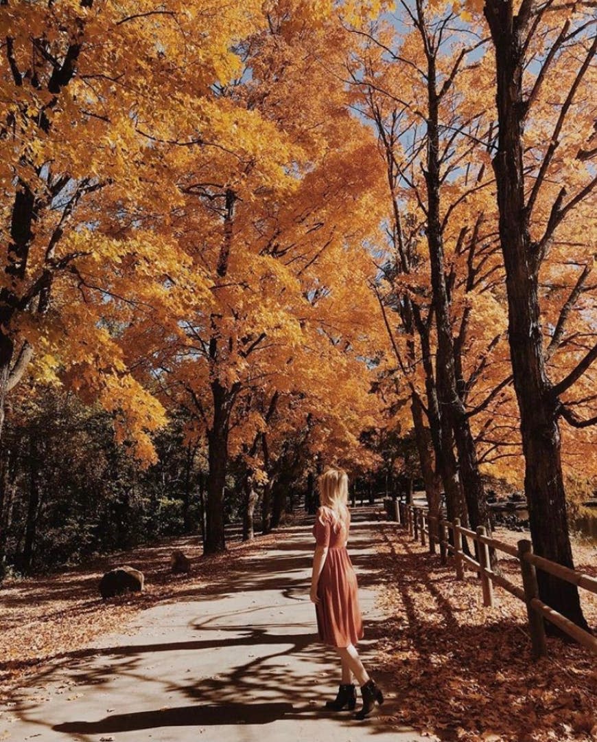 View Beautiful Fall Foliage At These 15+ Spots Around Springfield ...