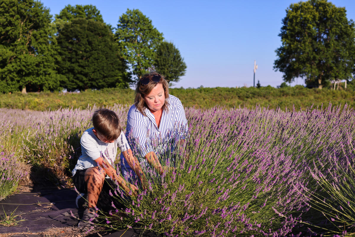 You-Pick Flower Farms In Southwest, Missouri