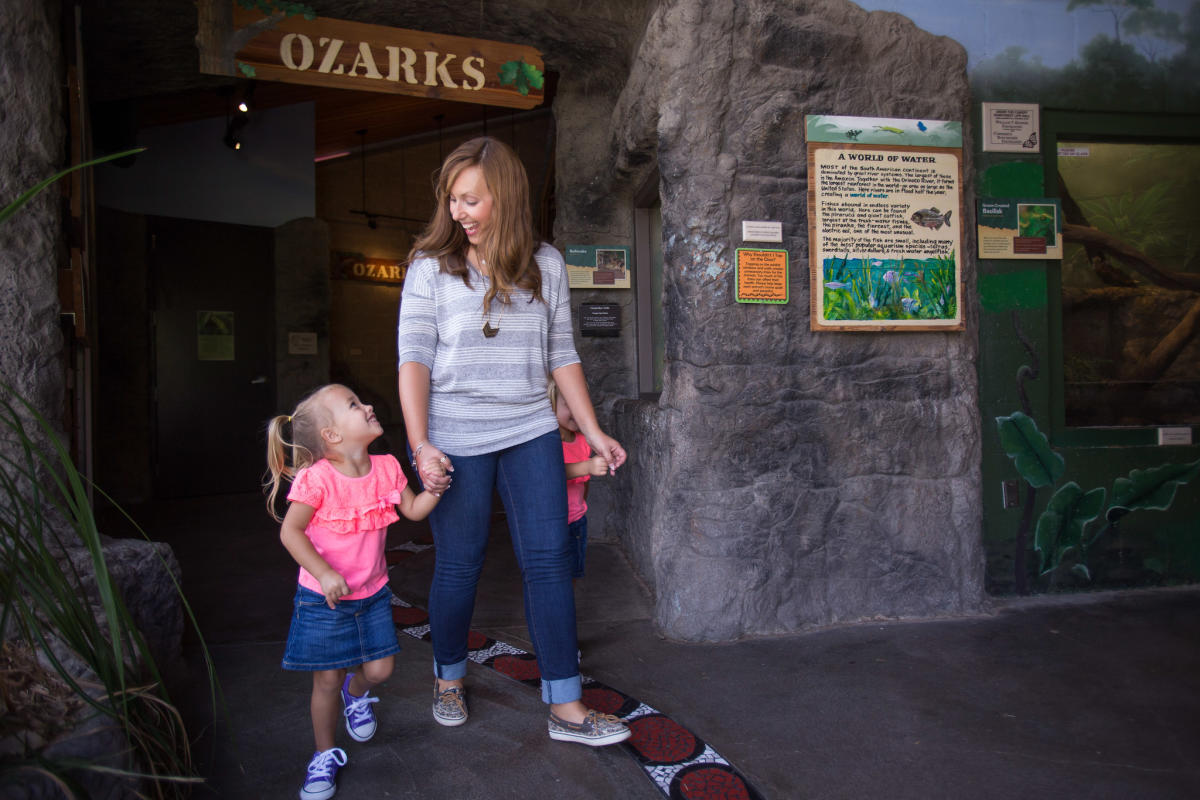 Take an Exotic Winter Walk at Dickerson Park Zoo | Springfield, MO