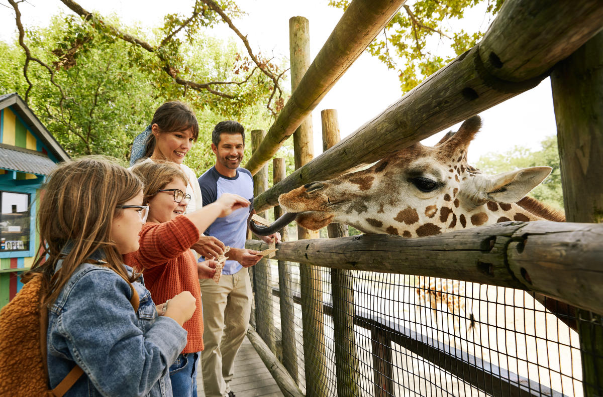 Father's Day Activities To Do in Springfield, Missouri