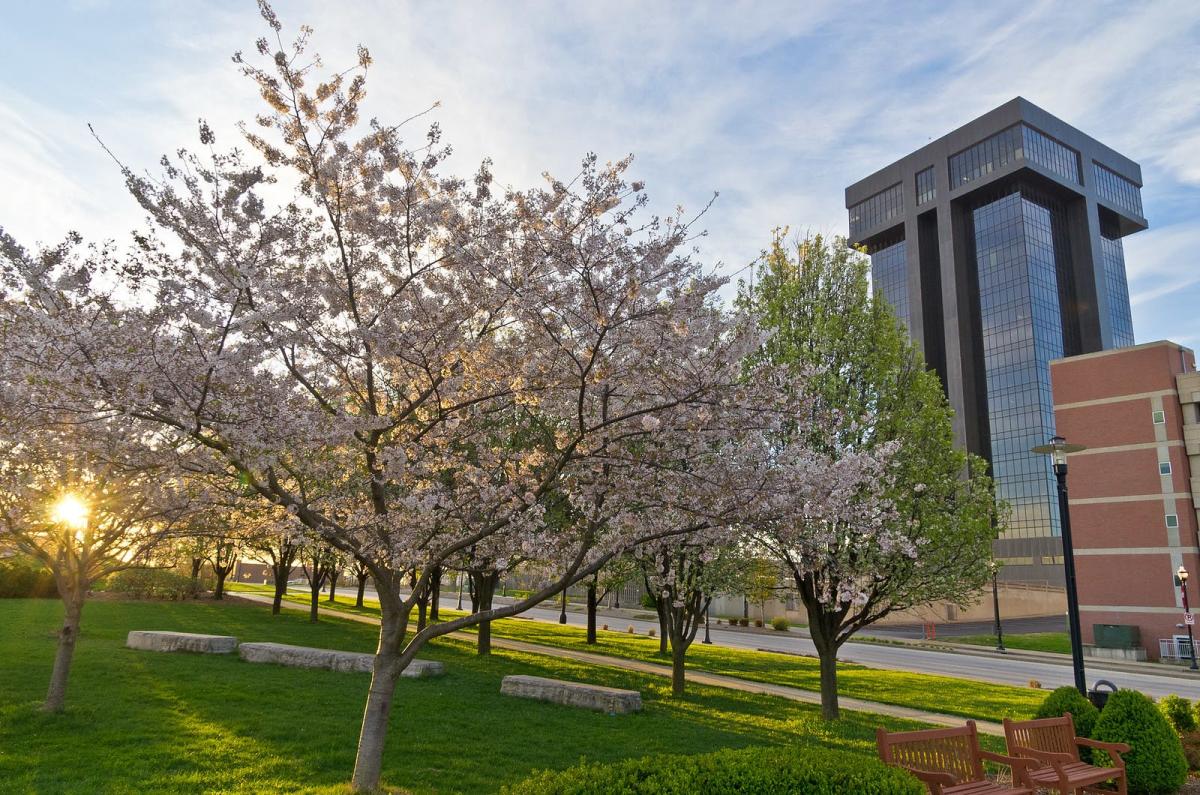 The Springfield, Missouri Spring Bucket List | Springfield, Missouri