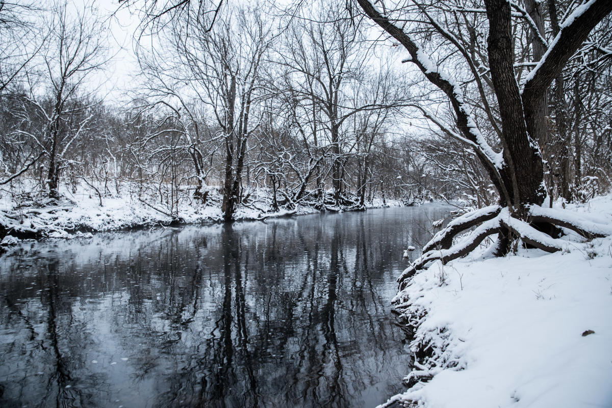 The Springfield, Missouri Winter Bucket List | Springfield, MO