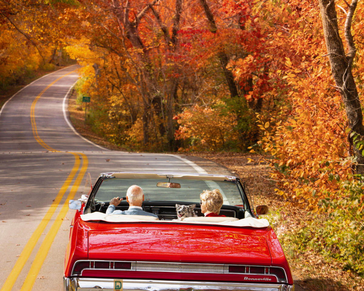 View Beautiful Fall Foliage At These 15+ Spots Around Springfield ...