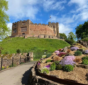 Five Reasons to Visit Tamworth