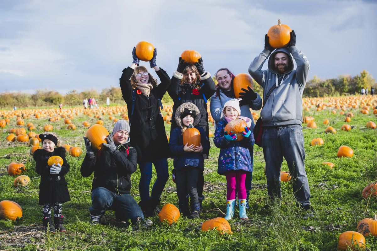 Things to do for October Half Term 2025 in Staffordshire