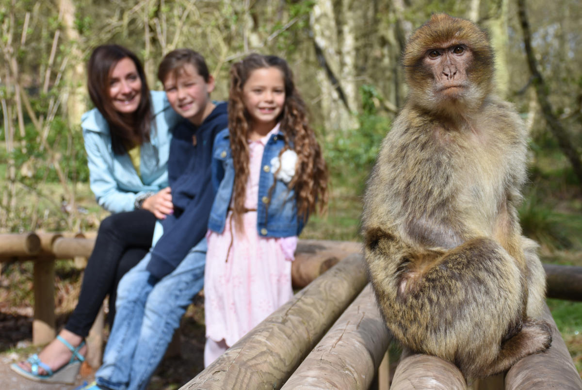 Zoos & Animal Attractions