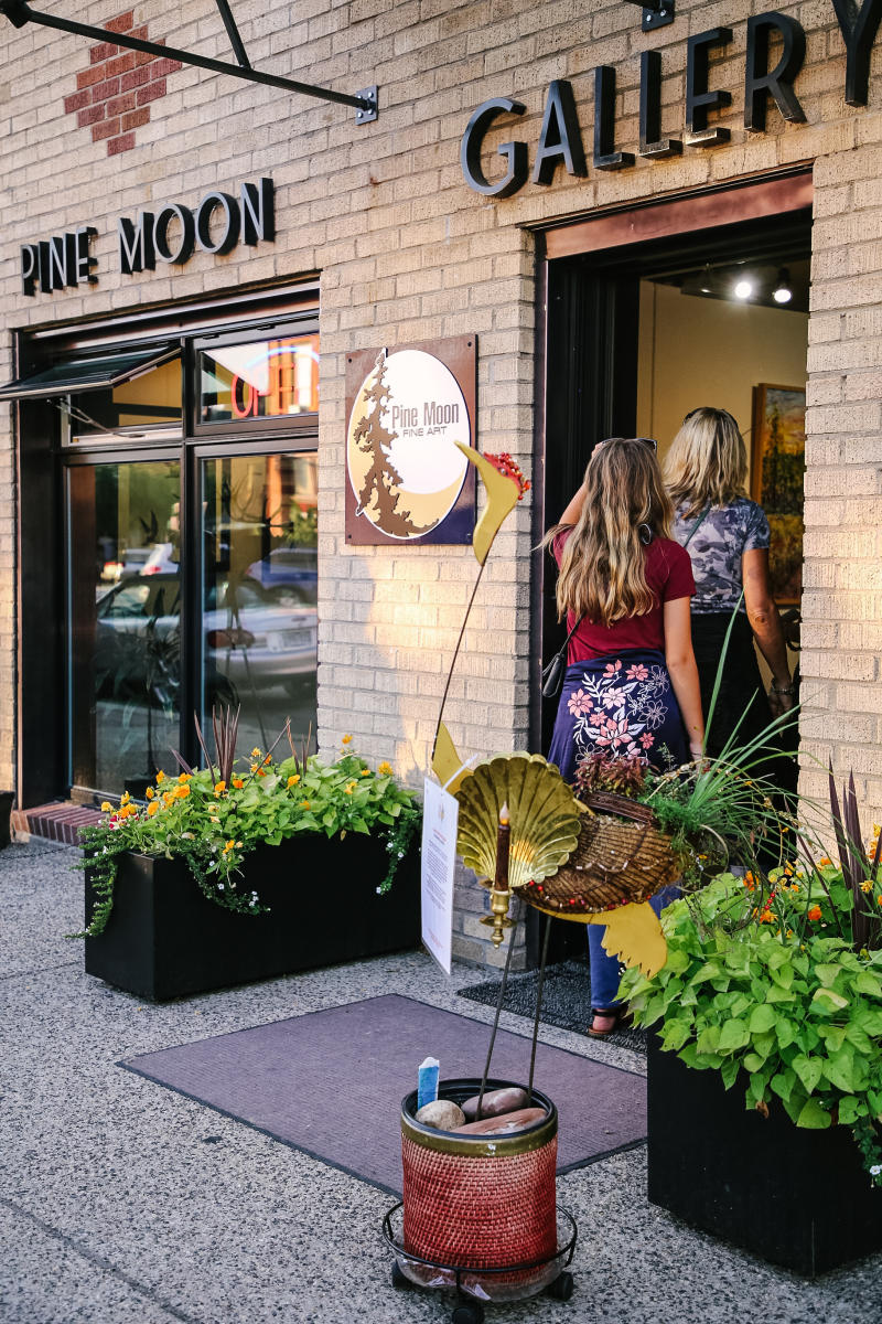 Steamboat Springs Visual Arts