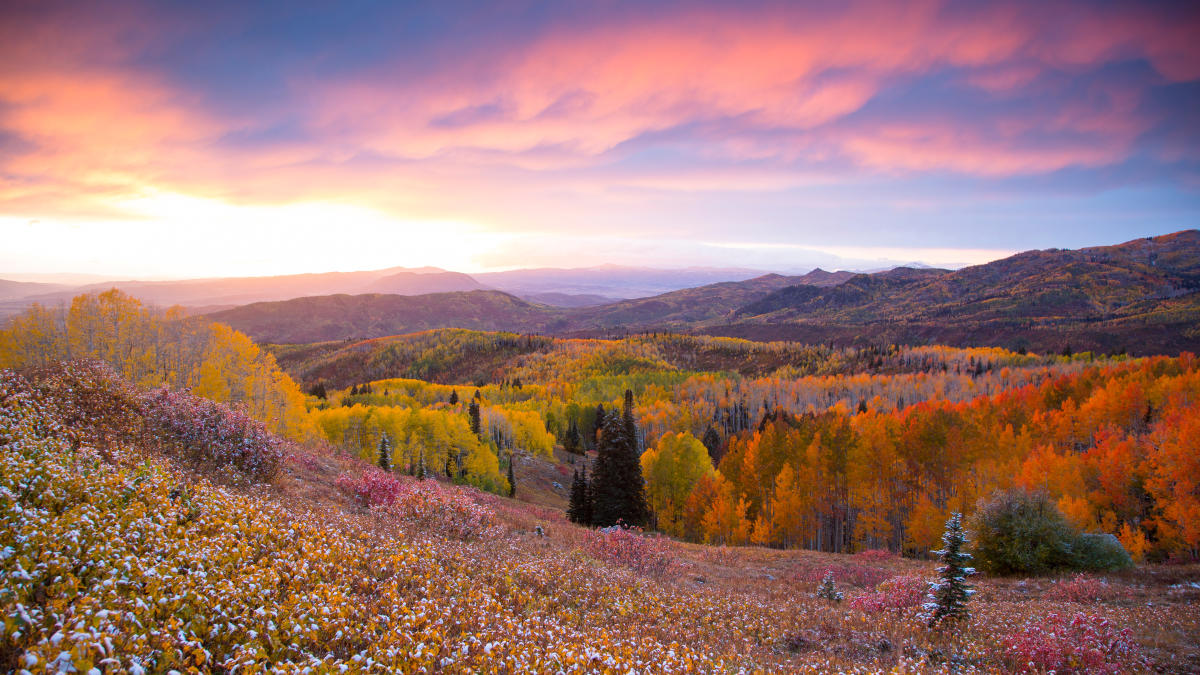 Steamboat’s Fall Drives