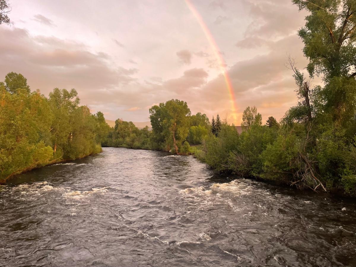 Financial Literacy Month: Emergency Funds Aren’t Just Personal ...