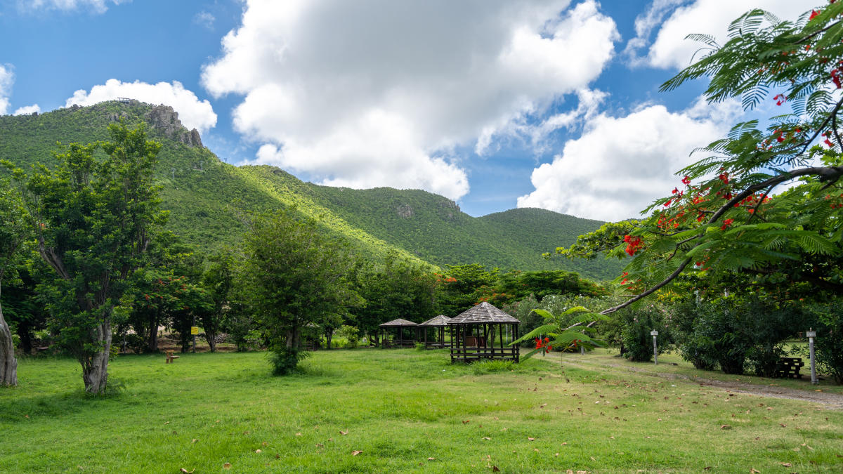 Parks & Natural Areas