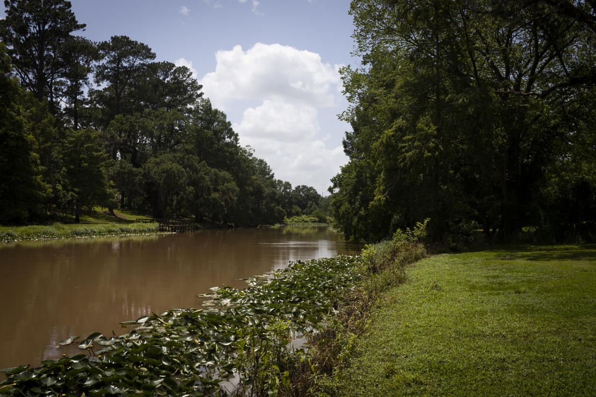 Exploring Culinary Delights Along the Bayou Teche