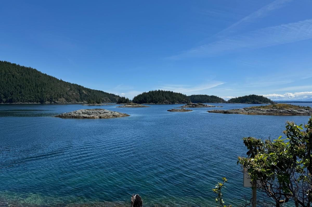 Paddle Routes: The Copeland Islands | Sunshine Coast Tourism