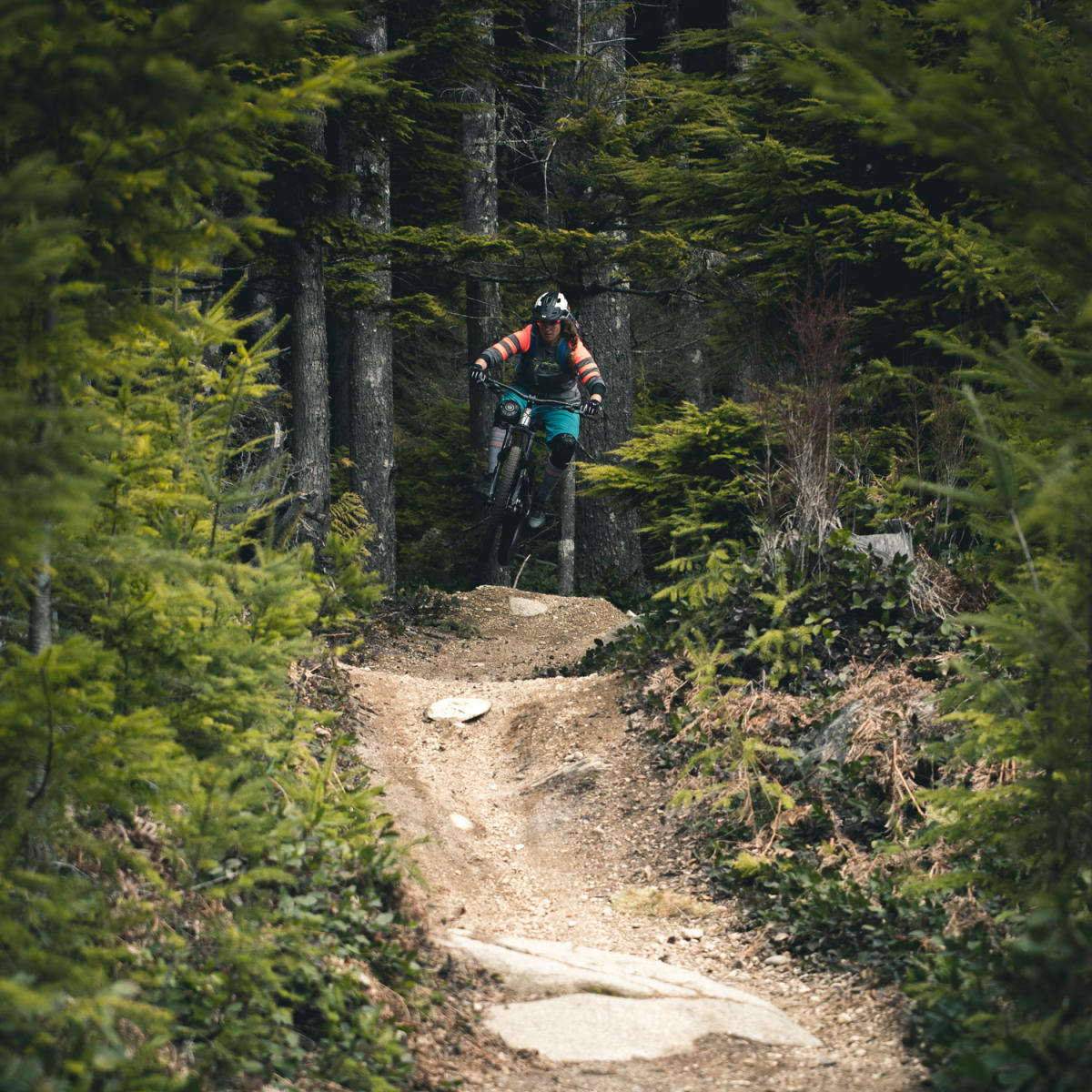 The Best Mountain Bike Zones on the Sunshine Coast | Sunshine Coast Tourism