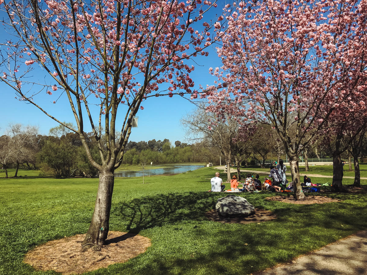 Huntington Central Park | Shipley Nature Center | Disc Golf Course