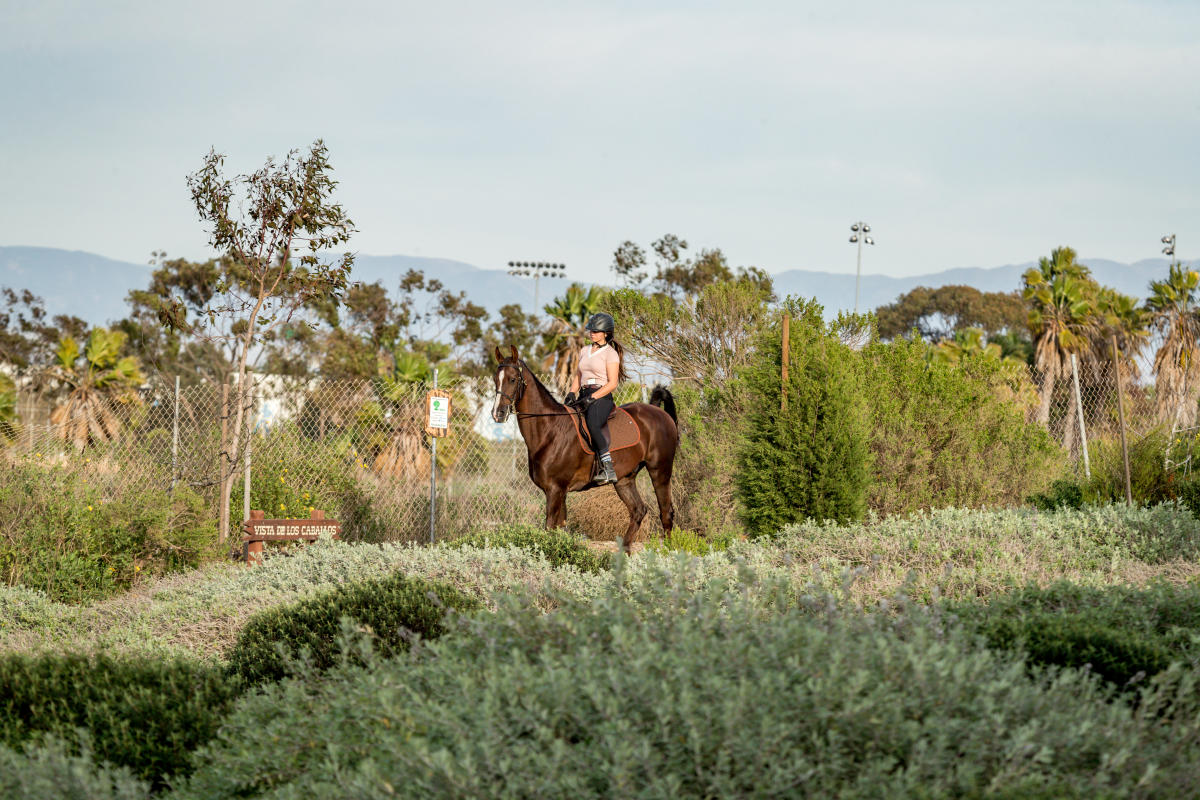 Horseback Riding in Huntington Beach | Surf City USA