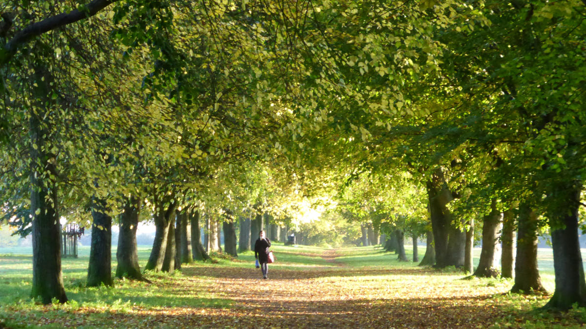 Find a Walk in Farnham, Surrey - Visit Farnham