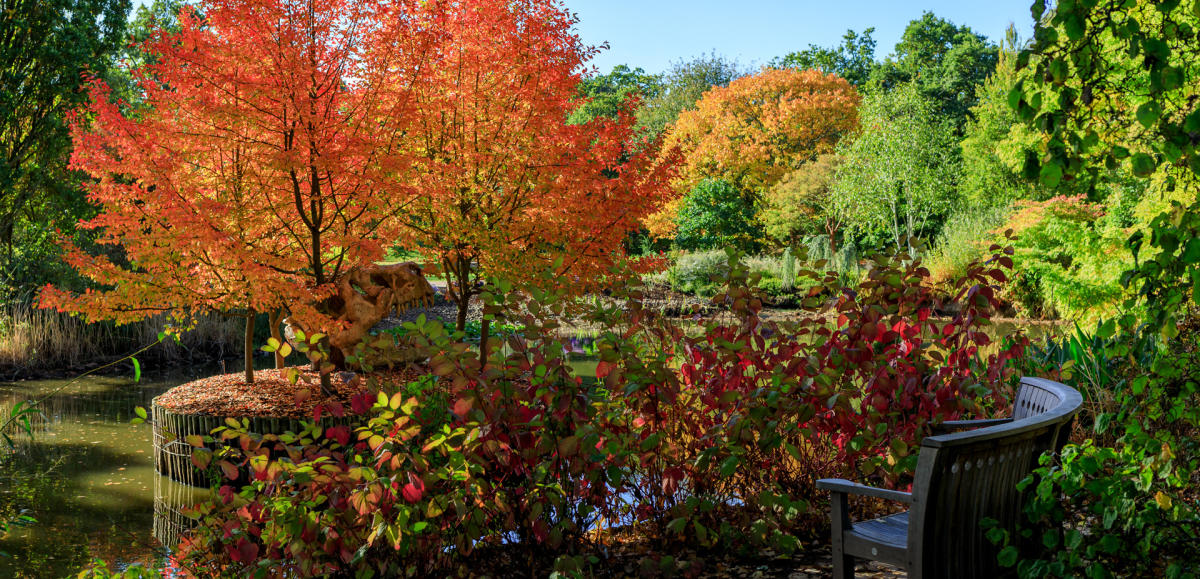 Welcome to Surrey | Visit Surrey: Surrey's Official Tourism Website