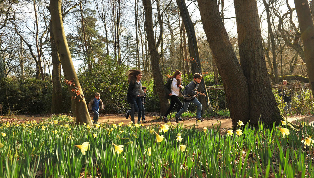 Half Term Events and Activities in Surrey | Visit Surrey