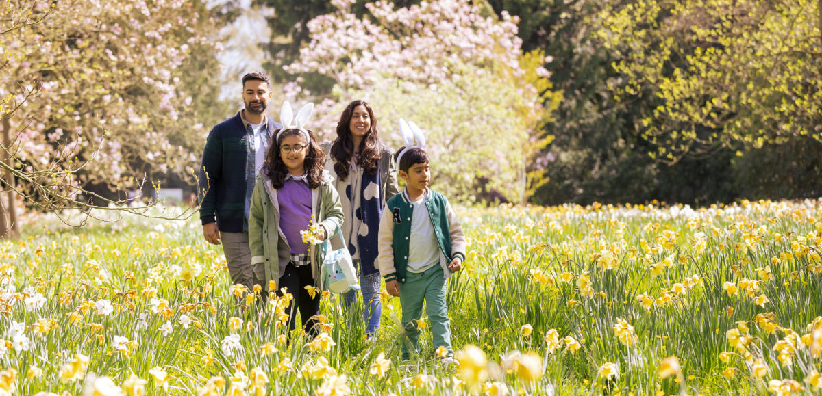 Family Friendly Events and Activities in Surrey - Visit Surrey