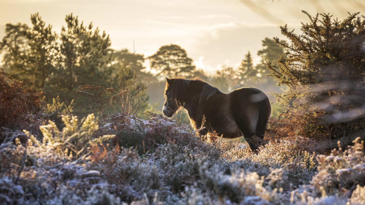 Discover the best Things to Do in Surrey | Visit Surrey
