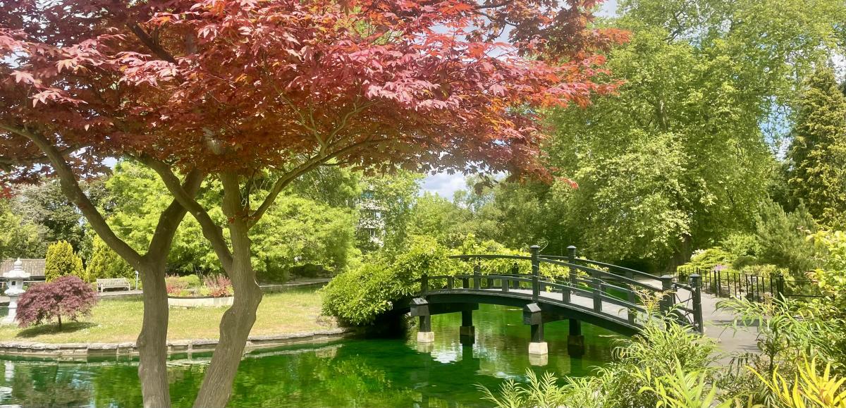 Parks and open spaces in Guildford | Visit Guildford