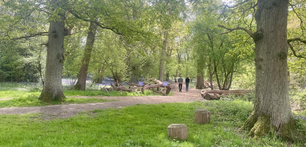 Parks and open spaces in Guildford | Visit Guildford
