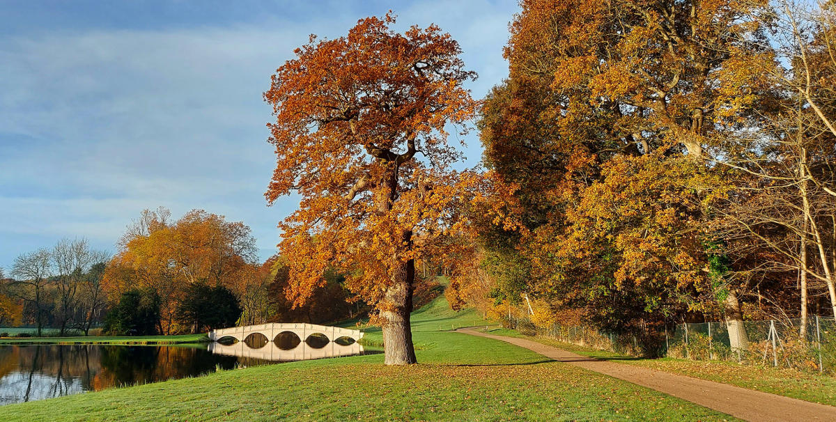 Discover the best Things to Do in Surrey | Visit Surrey