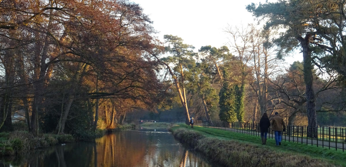 Canals & Rivers in Surrey