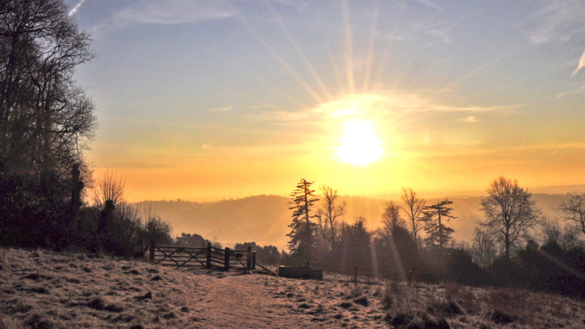 Discover and explore Surrey | Visit Surrey