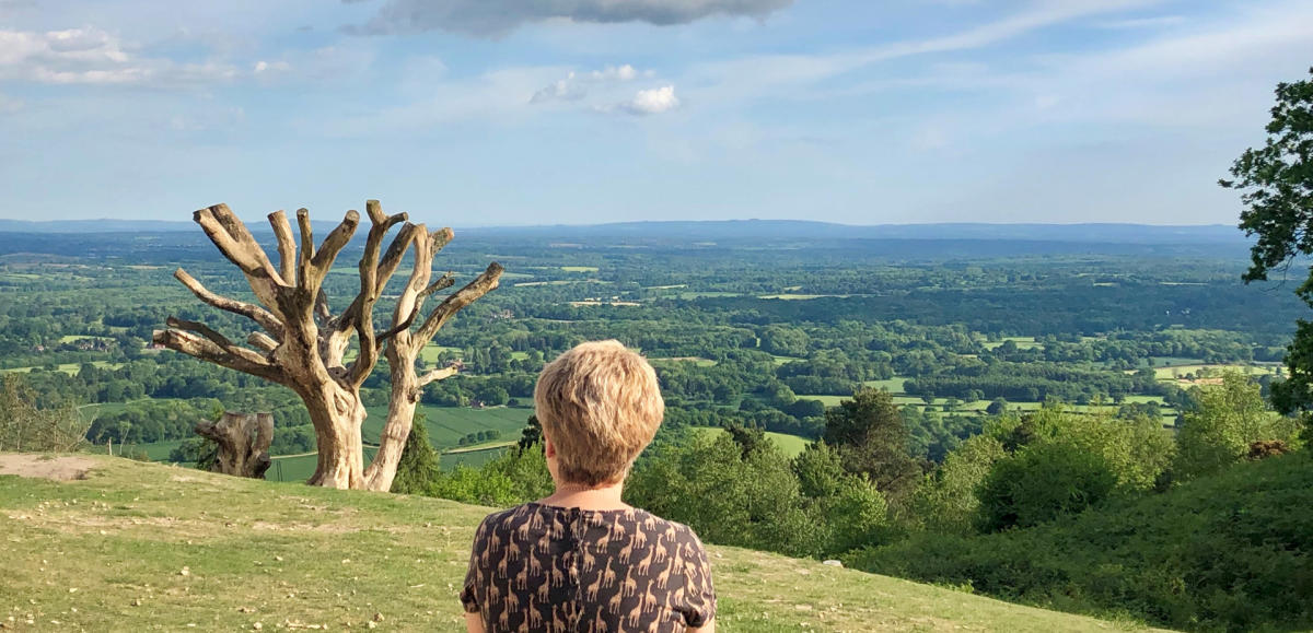 The best landmarks and scenic views in Surrey