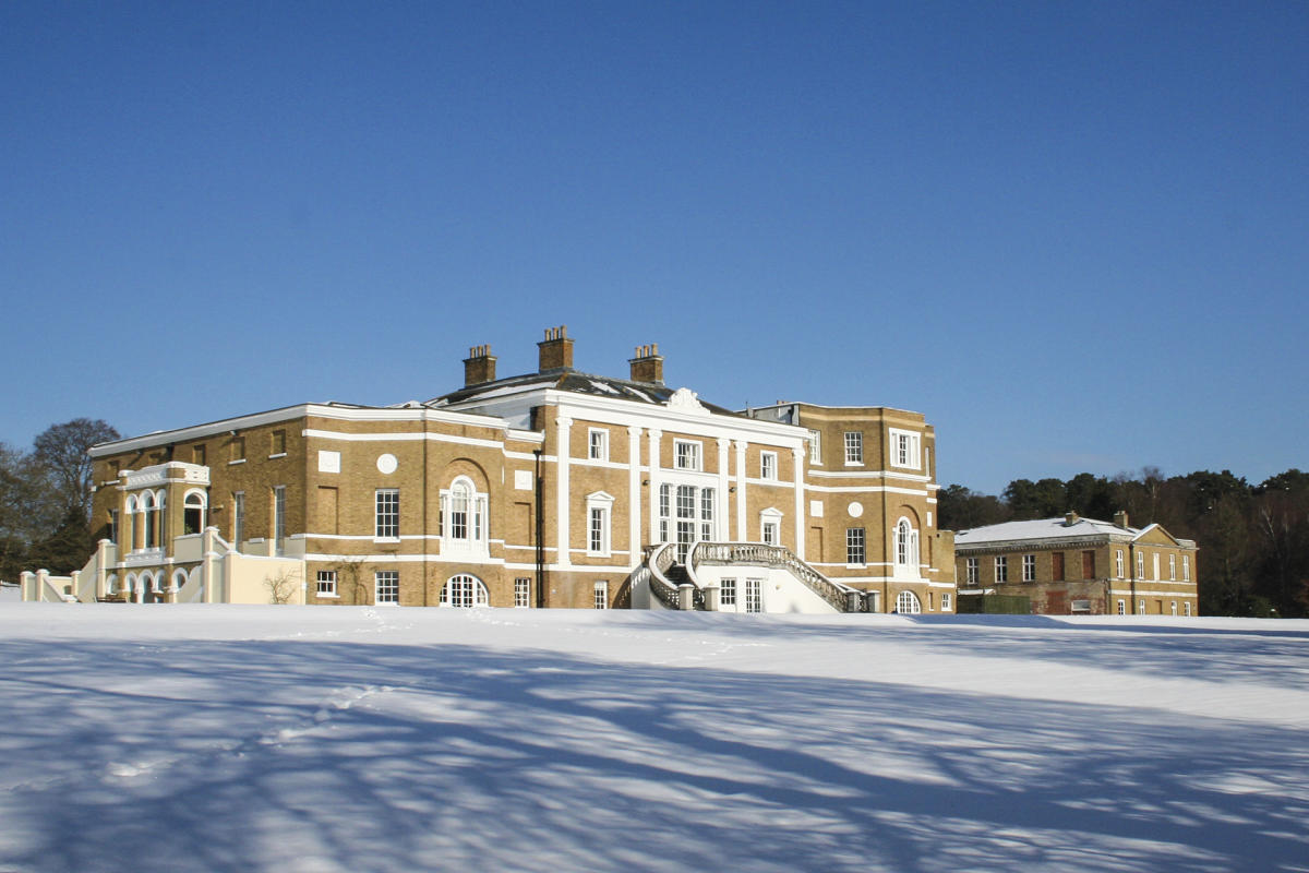 Experience the Magic of Christmas in Waverley – Farnham, Godalming ...