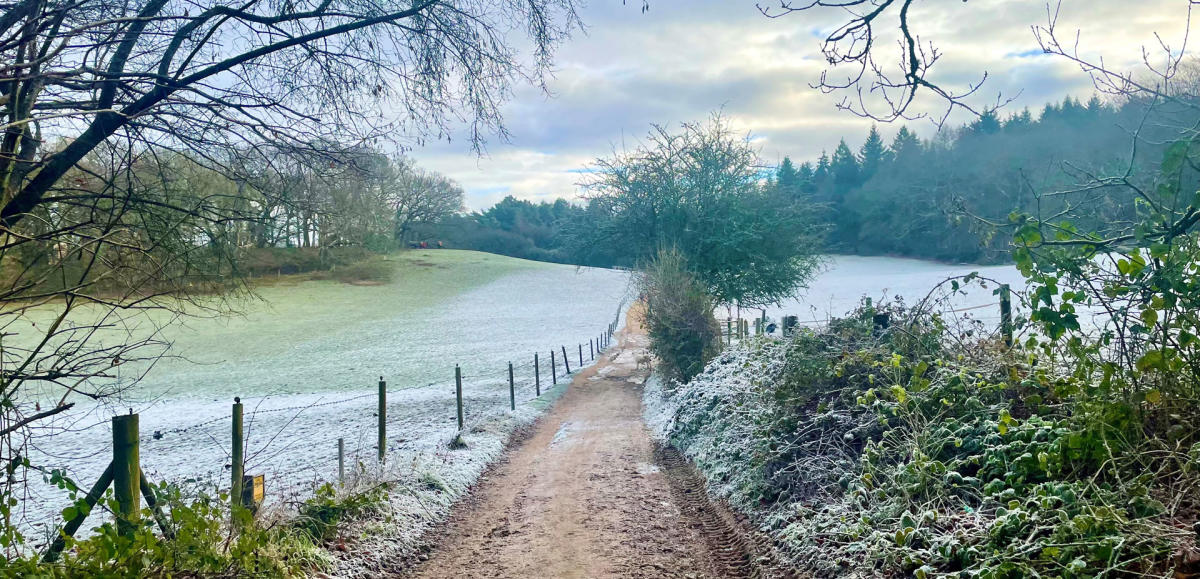 Parks and open spaces in Guildford | Visit Guildford