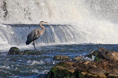 Adam T. Bower Dam | Susquehanna River Valley Visitors Bureau