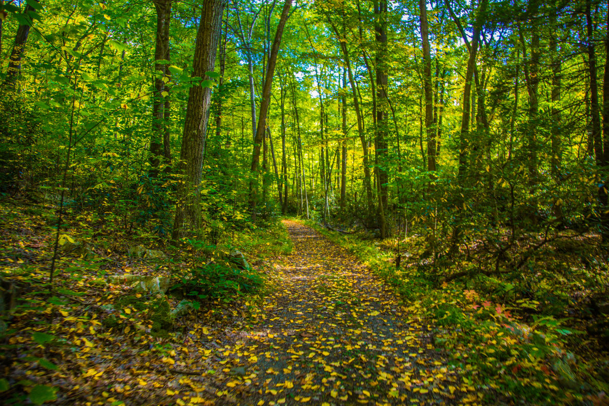 Trails in The Susquehanna River Valley | Central PA Outdoors