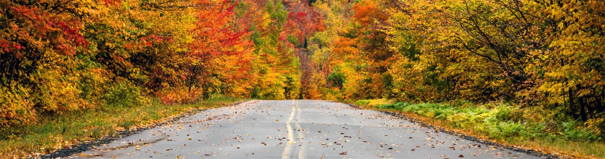 Western Forest Lands in Central PA | Susquehanna Valley