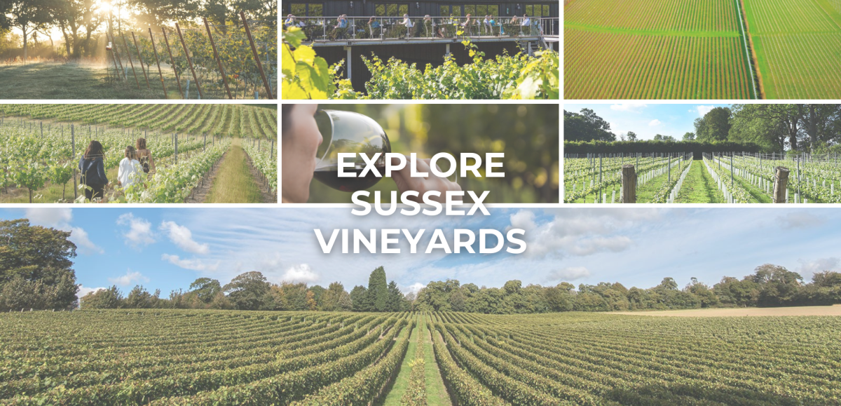 vineyard crowborough