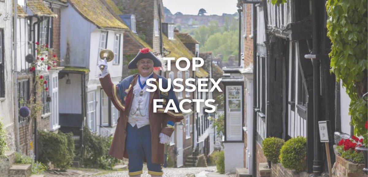 Discover Sussex: 20 Intriguing Facts About Our Charming Region