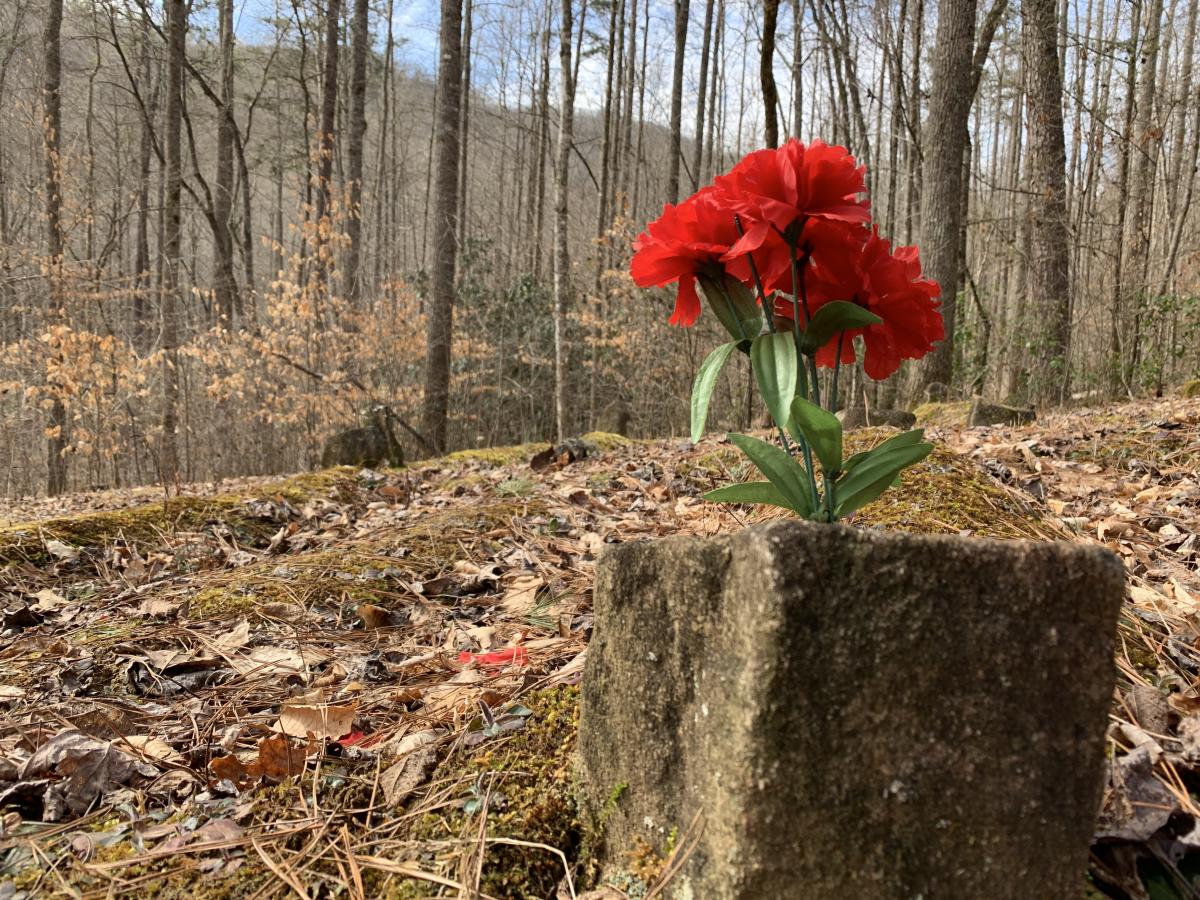 Historical Cemeteries to explore in the Great Smoky Mountains National Park