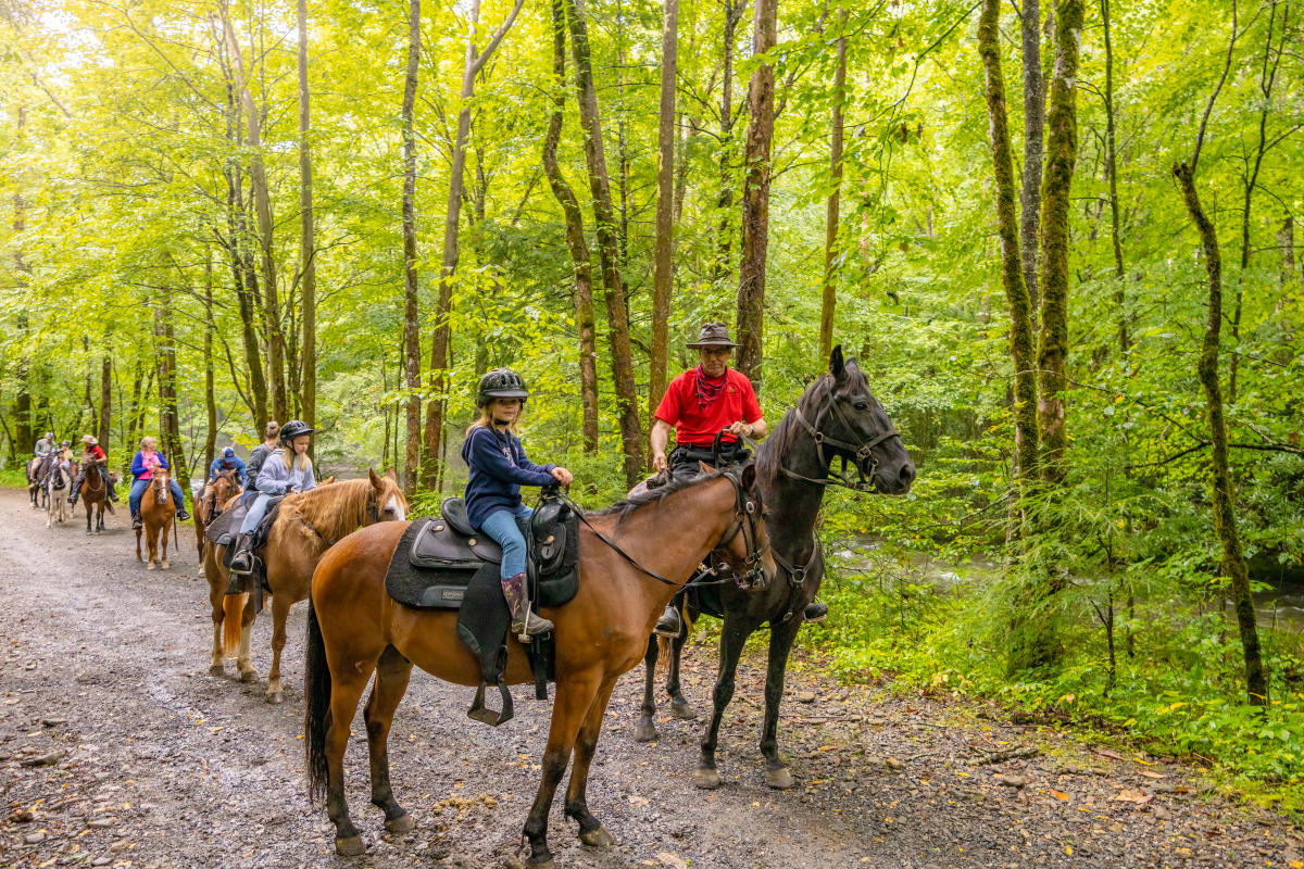 Horseback Riding in Bryson City