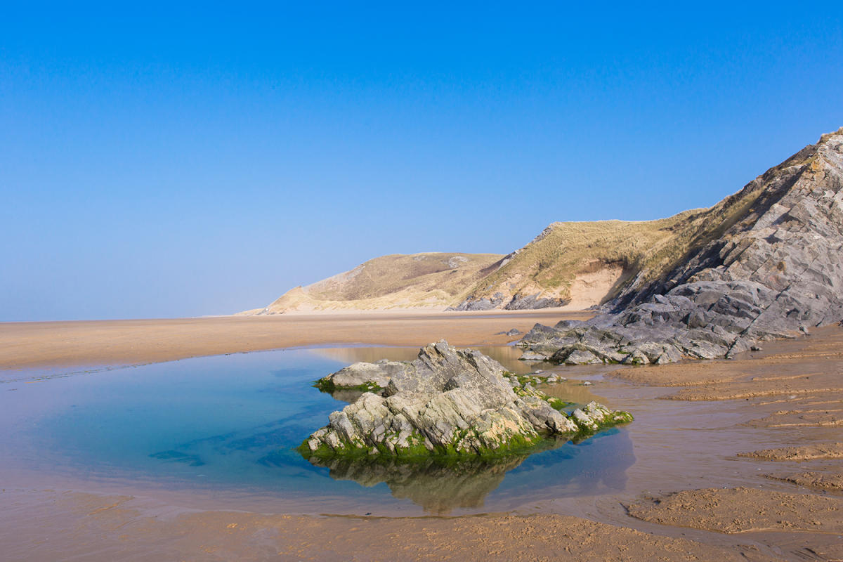 Nature and Wildlife in North Gower
