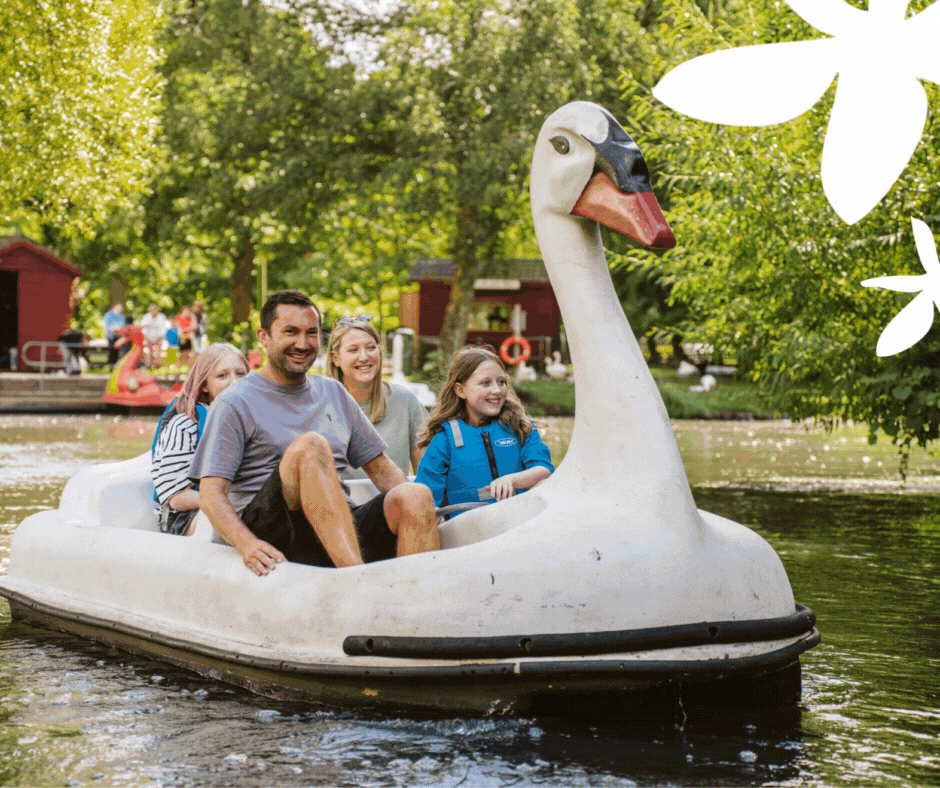 Swansea Attractions For Kids