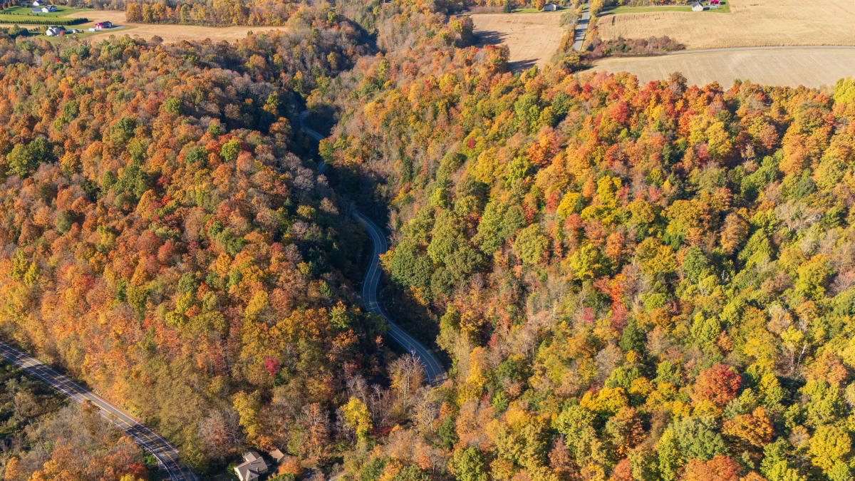 13 Curves: Syracuse's Haunted Road