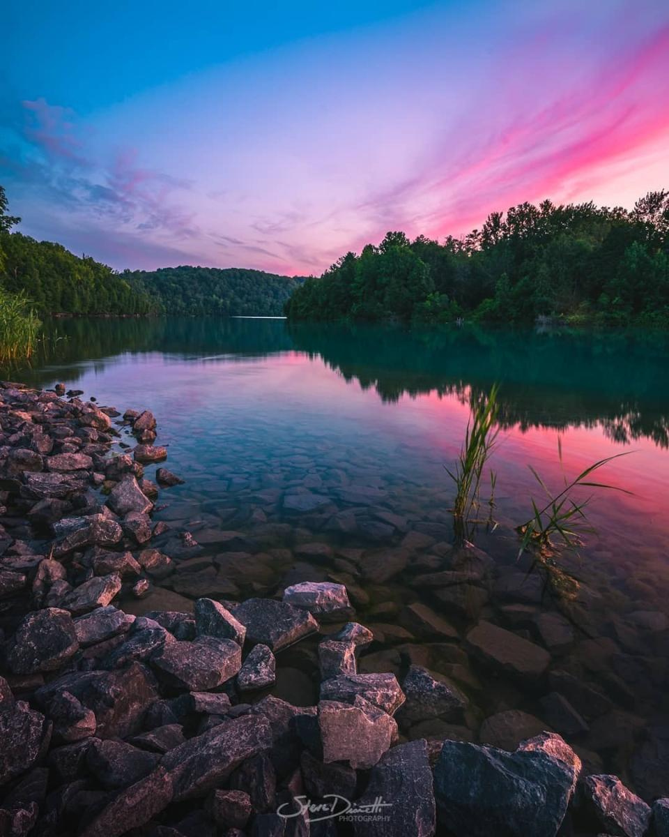 Happy 315 Day | Visit Syracuse